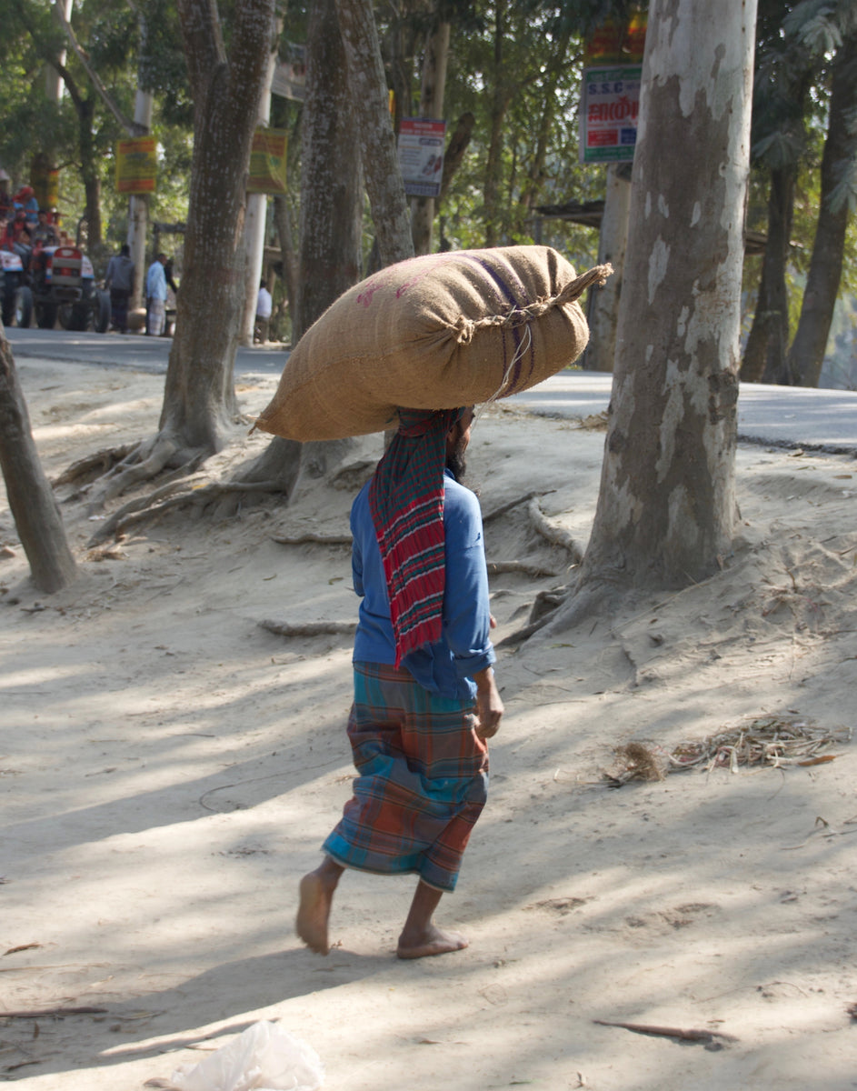 TINY Kalijira Rice - Origin Story